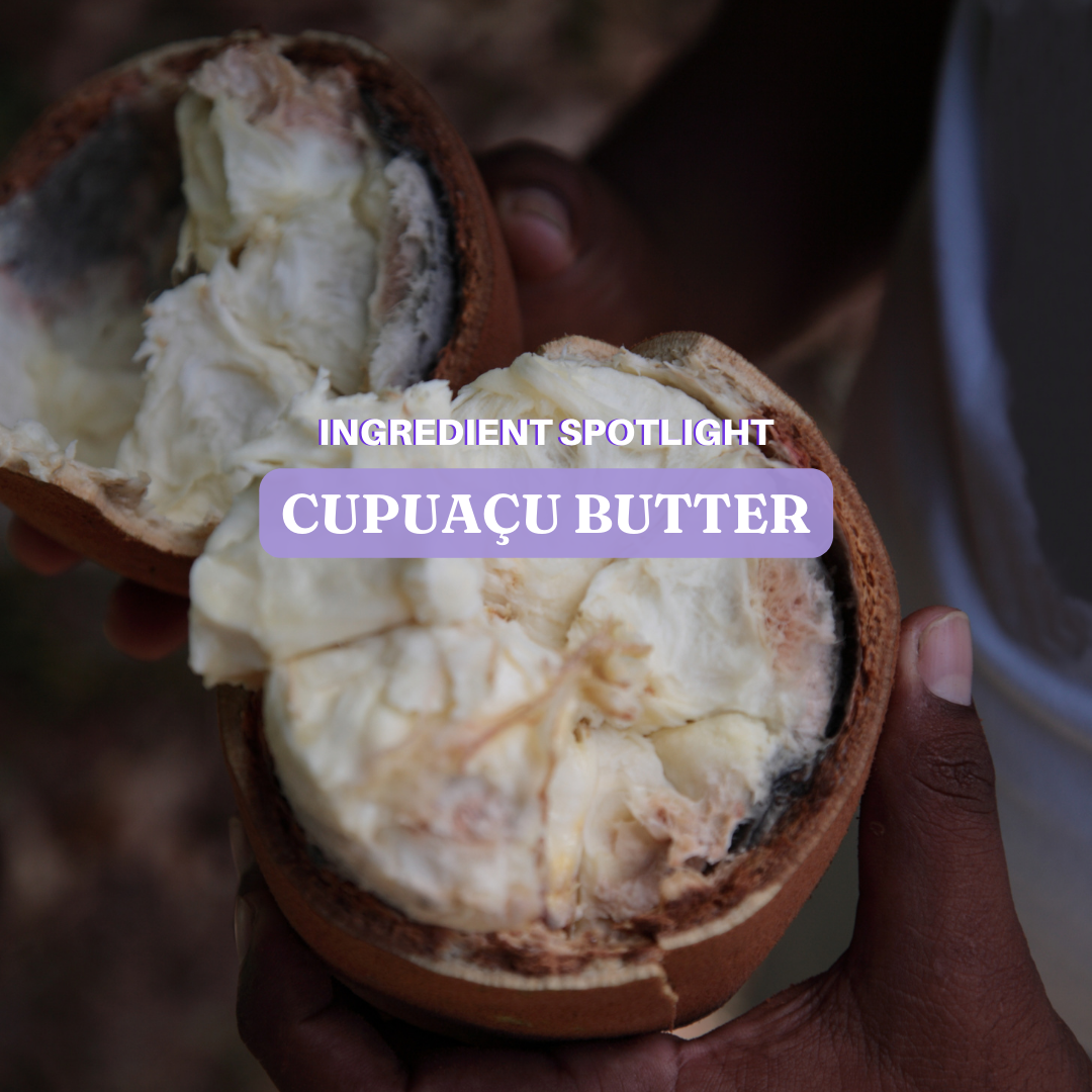 Ingredient Spotlight | Cupuaçu – Haiama Beauty